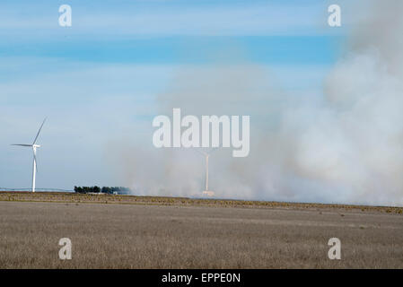 Ingalls, Kansas, WInd turbines and Milo fields Stock Photo - Alamy