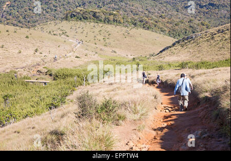Walkers in Horton Plains national park montane grassland environment ...