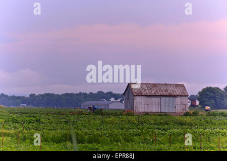 Barns on a hot humid summer day with mountains in the background Stock ...
