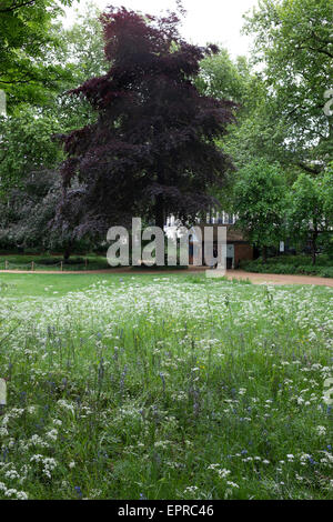 Bloomsbury Square Gardens London Borough of Camden England UK Stock ...