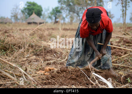 ETHIOPIA Gambela, small scale farming in highland / AETHIOPIEN Gambela ...