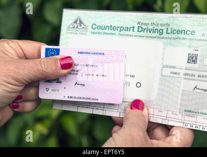 UK British Driving Licence showing endorsement for speeding Stock Photo ...