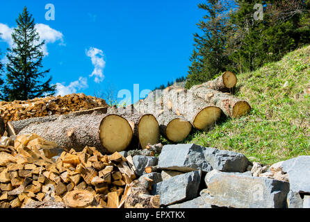 Exploitation of Natural Resources Stock Photo: 4644008 - Alamy
