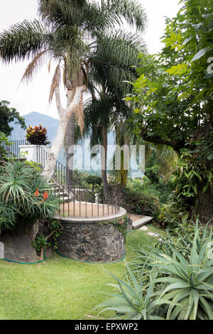 Trees in a garden, Xochimilco, Mexico City, Mexico Stock Photo - Alamy