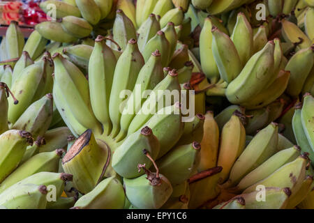 baby bananas at the Talad Rom Hoob Market near Bangkok, Thailand Stock ...