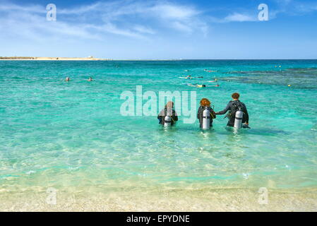 Divers in Abu Dabbab Bay, Marsa Alam, Red Sea, Egypt Stock Photo - Alamy