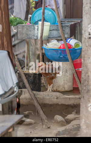 Inside a poor family's home in Guatemala Stock Photo - Alamy
