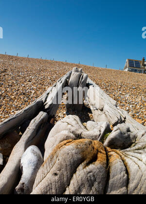 Shingle beach South Coast with Groyne Stock Photo - Alamy