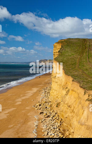 The distinctive banded sandstone strata of East Cliff near West Bay on ...