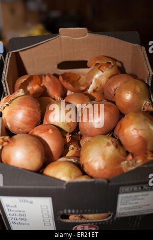 onions in the box Stock Photo - Alamy