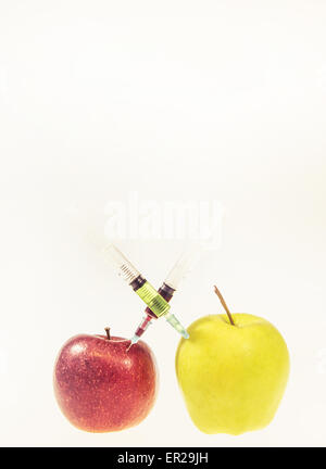 Syringes stuck in an apple. Concept of genetic modification of fruits ...