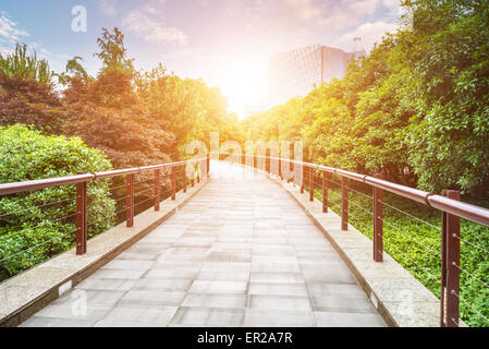 Alley with office buildings at shanghai Stock Photo - Alamy