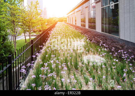 Alley with office buildings at shanghai Stock Photo - Alamy