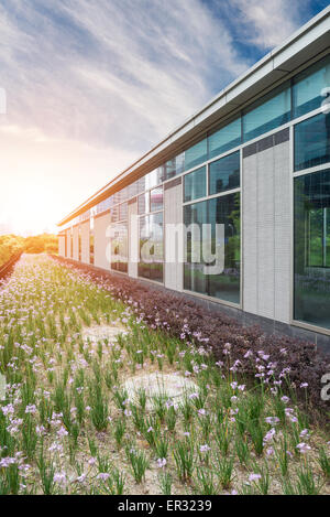 Alley with office buildings at shanghai Stock Photo - Alamy