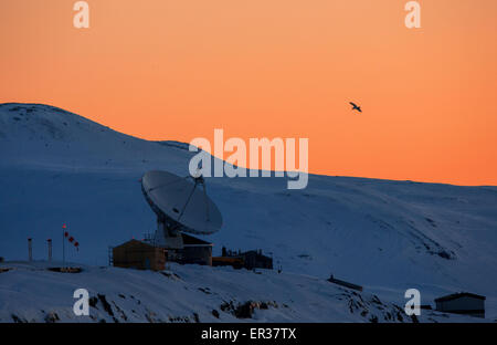 A giant VLBI antenna from the Norwegian Mapping Authority (NMA) turns ...