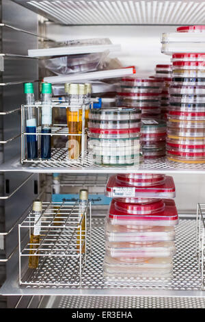 Laboratory storage boxes Stock Photo: 33304756 - Alamy