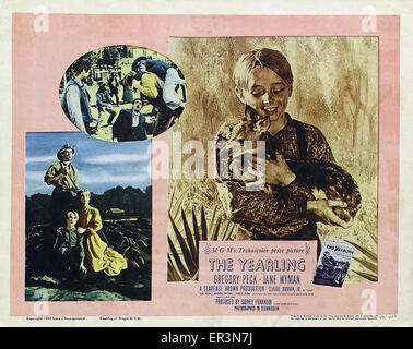The Yearling - Movie Poster Stock Photo - Alamy