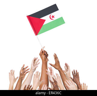 Flag of Western Sahara, Sahrawi Arab Democratic Republic. Wrinkled ...