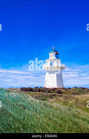 Catlins Forest Park, South Island, New Zealand Stock Photo - Alamy
