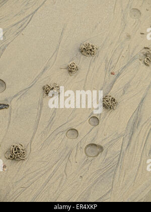 lugworm cast in sand Stock Photo - Alamy