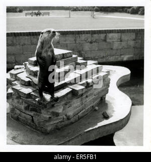 The Zoo, Southampton, Hampshire Stock Photo - Alamy