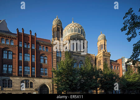 New Synagogue, Berlin, Facade, Germany, Europe Stock Photo - Alamy
