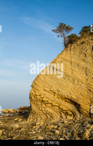 Strunjan cliff, Slovenia Stock Photo - Alamy