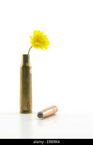 shotgun shell with yellow little flower Stock Photo - Alamy