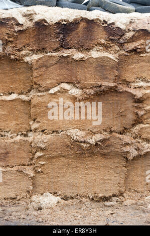 Shear grab at silage pit face cutting a section of silage. This keeps ...