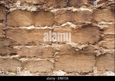 Shear grab at silage pit face cutting a section of silage. This keeps ...
