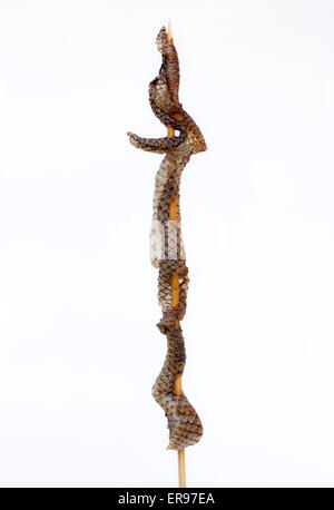 Snake Meat on sale at Donghuamen night market in Wangfujing Beijing ...