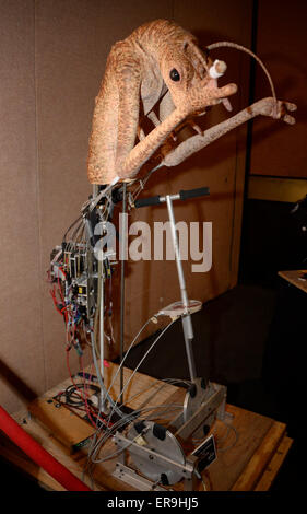 WORM GUY, MEN IN BLACK II, 2002 Stock Photo - Alamy