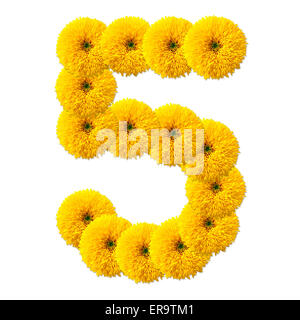 decimal cipher of flowers isolated on white background Stock Photo - Alamy