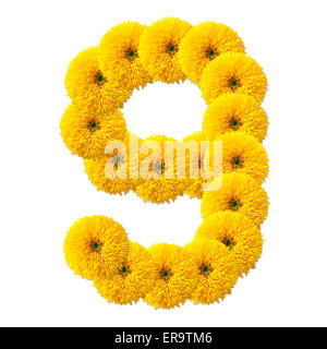 decimal cipher of flowers isolated on white background Stock Photo - Alamy