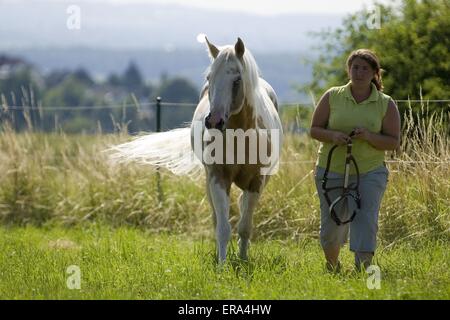 woman and Paint Horse Stock Photo - Alamy