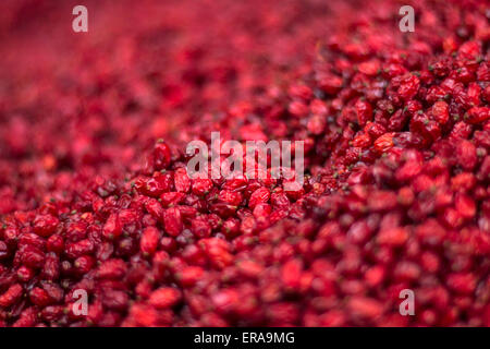 dried berberis fruit Stock Photo - Alamy