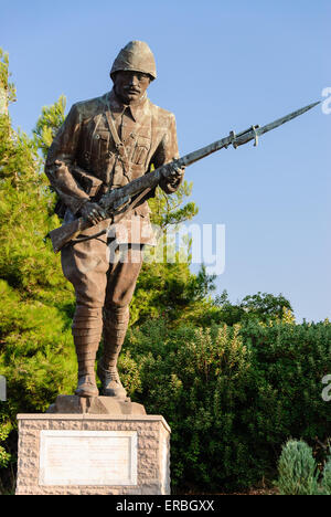 A memorial statue to the unknown Turkish soldier, with a rifle and a ...