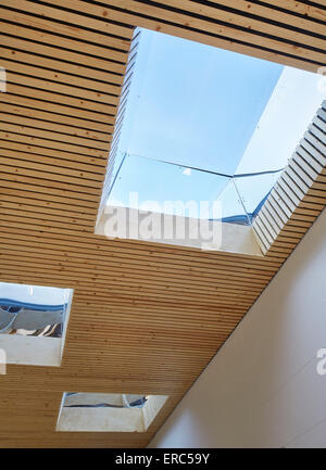 Timber clad ceiling with skylights. Herefordshire Archives, Hereford ...
