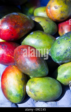 Mango, Brazil, Rio de Janeiro, Ipanema Stock Photo - Alamy