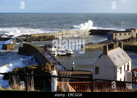 The fishing village of St Abbs seen from the southern side of St Abb's ...