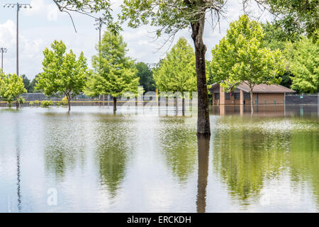 May 30, 2015 - Addicks Reservoir Park, Houston, TX: Standing flood ...