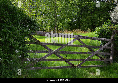 Rustic wood farm gate in the English countryside during Spring Stock ...
