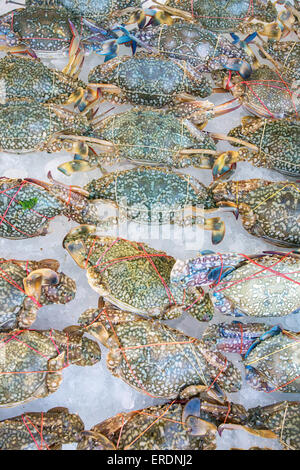 Fresh seafood on ice background Stock Photo - Alamy