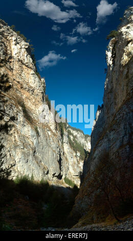 Panorama of the gorge valley and karst limestone rock formations in ...