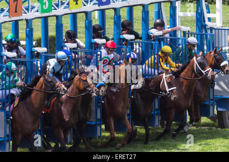 Horses out of the starting gate Stock Photo: 222558067 - Alamy