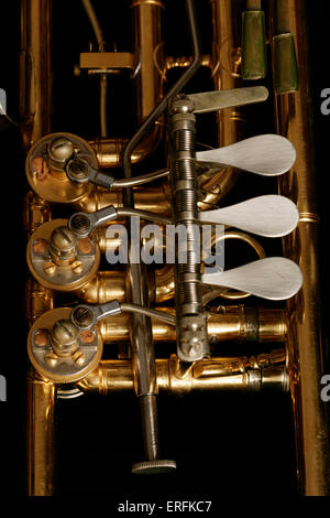 the valve covers of a rotary-valved trumpet Stock Photo - Alamy