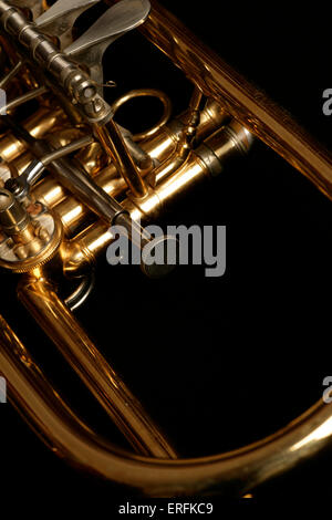 Lechner rotary valved trumpet - close-up detail of brasswork on valves ...