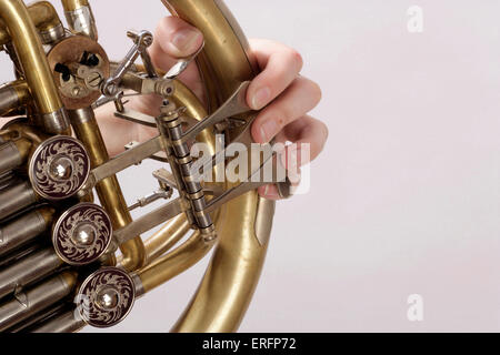 Horn player in playing position Stock Photo - Alamy