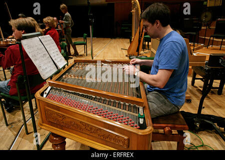 Cimbalom or Cembalon - being played by Ed Chevenka Stock Photo - Alamy