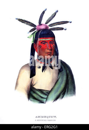 Warrior of the native American Indian Tribe, the Lipan 1858 Stock Photo ...